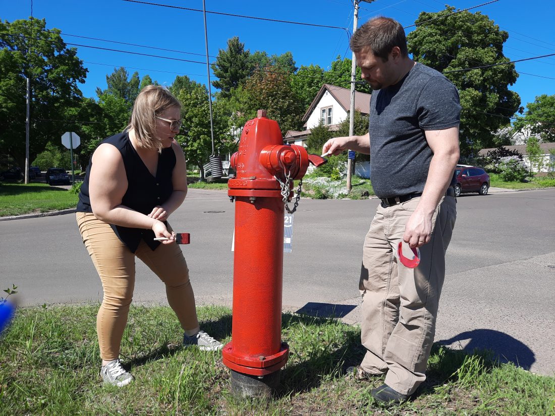 Paint a Fire Hydrant | News, Sports, Jobs - The Mining Gazette